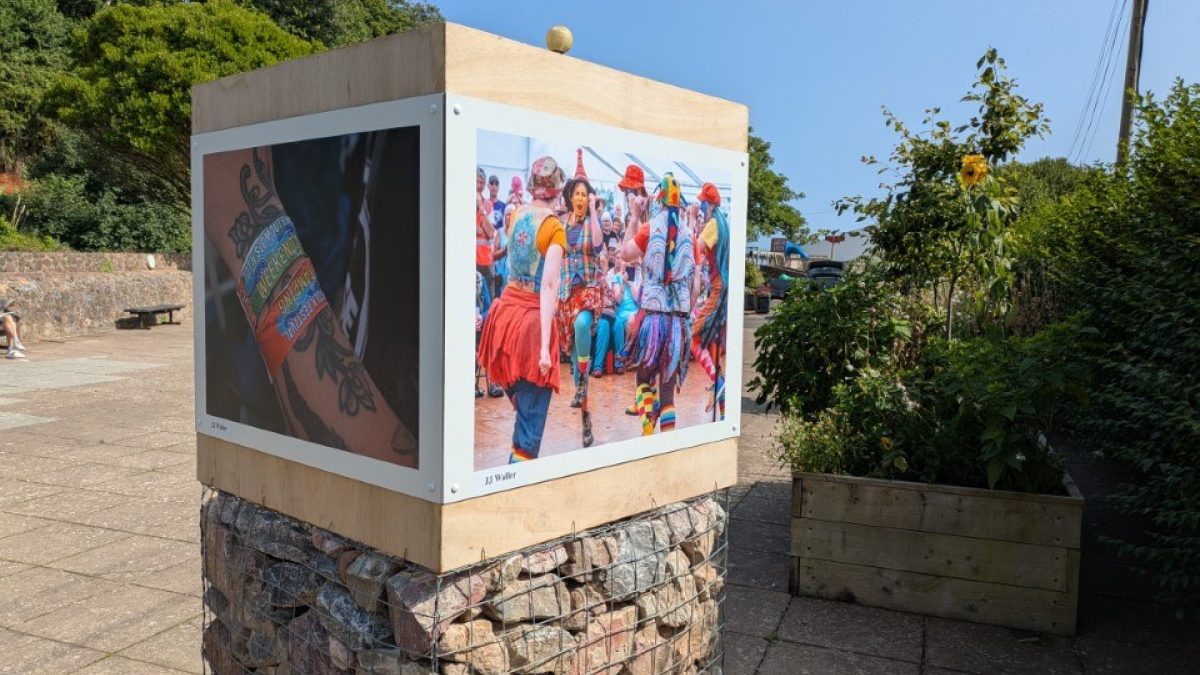 A Sidmouth Folk Festival Portrait | Sidmouth School Of Art