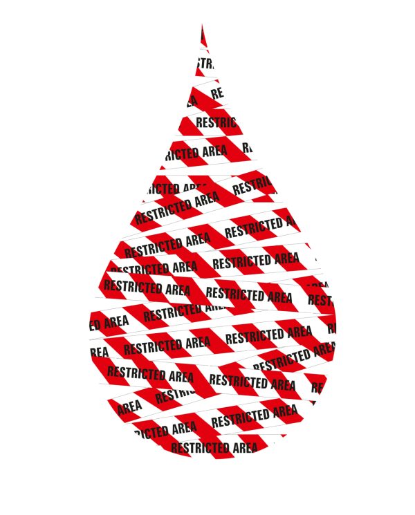 Marine and Green - Together Be Seen | Sidmouth School Of Art