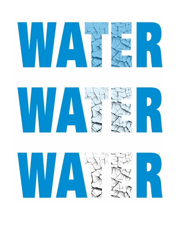 Marine and Green - Together Be Seen | Sidmouth School Of Art