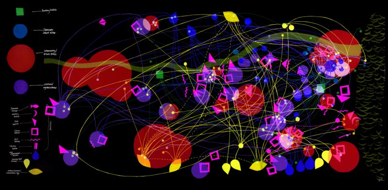 Cultural Community Mapping | Sidmouth School Of Art